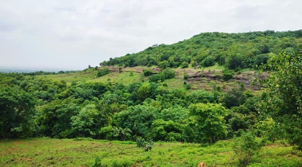 Short Break From Hyderabad | Top Tourist Places | Tour & Travel Planner ...